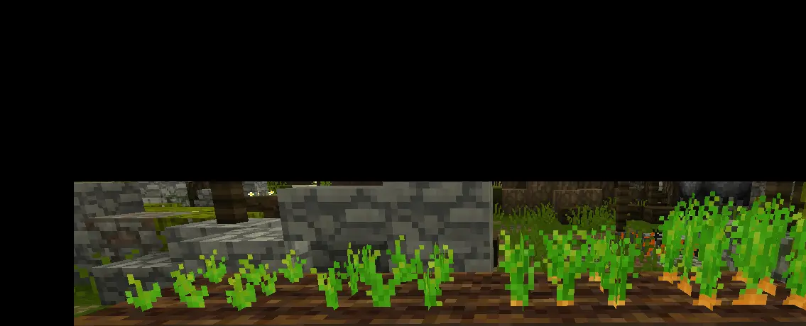 Carrots | Minecraft Middle Earth