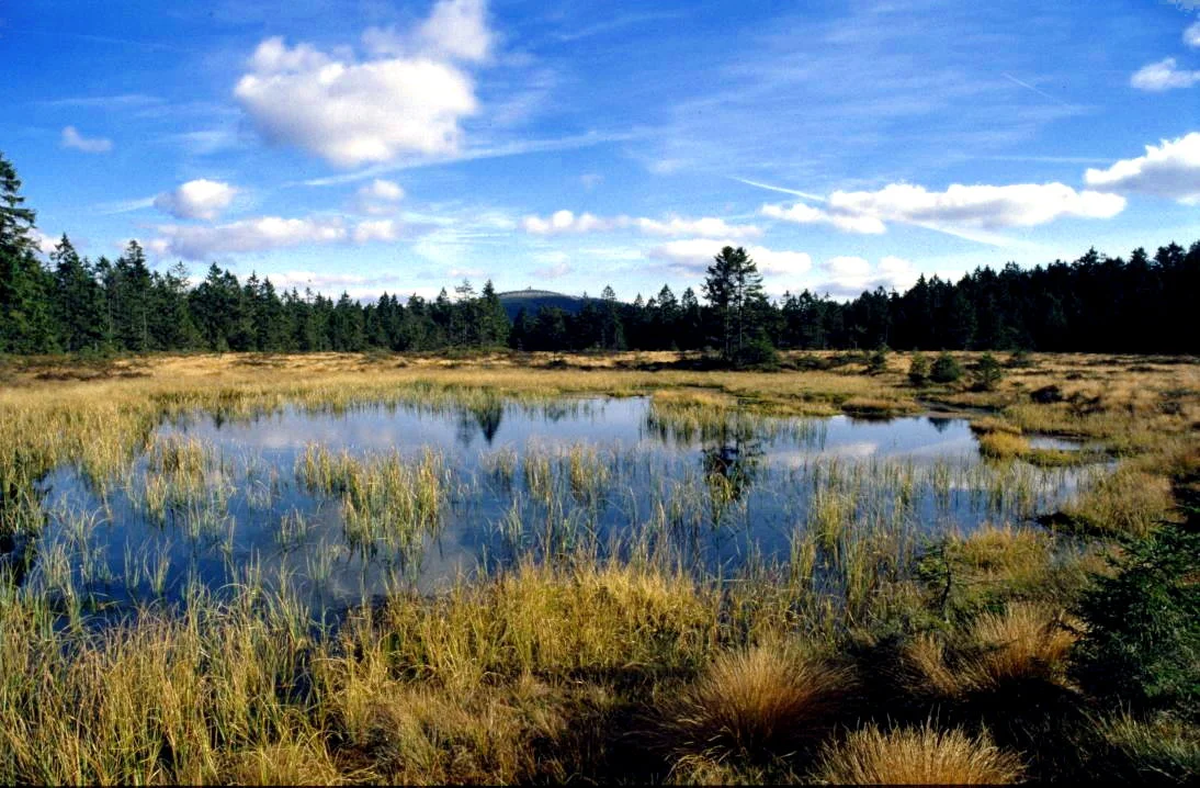 #20/15 [Concept Build] High Moors of Rivendell | Minecraft Middle Earth