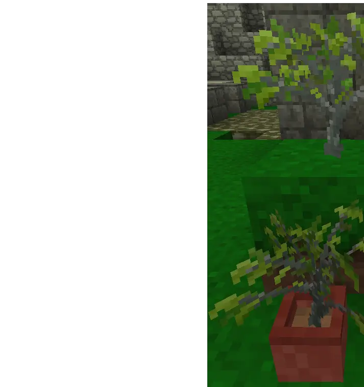 Finished - Saplings | Minecraft Middle Earth