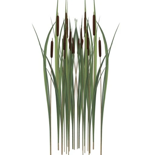 Texture Request: Reeds | Minecraft Middle Earth